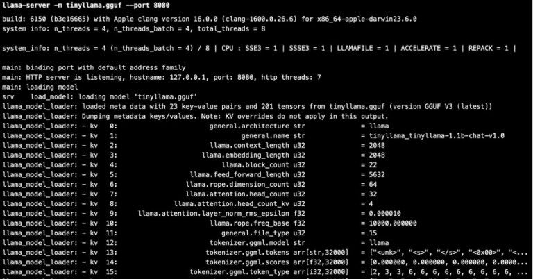 How To Run LLMs Locally - Deployment And Benchmark