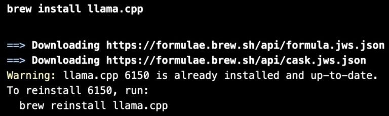 How To Run LLMs Locally - Deployment And Benchmark